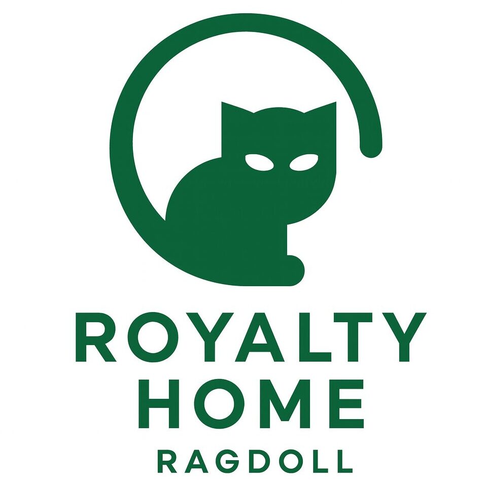 Contact us - ROYALTY HOME RAGDOLLS